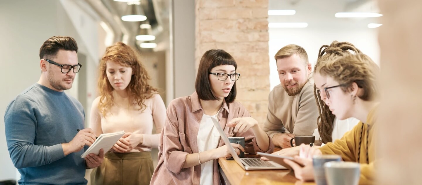 Portfolio Showcase - World Vision Softek